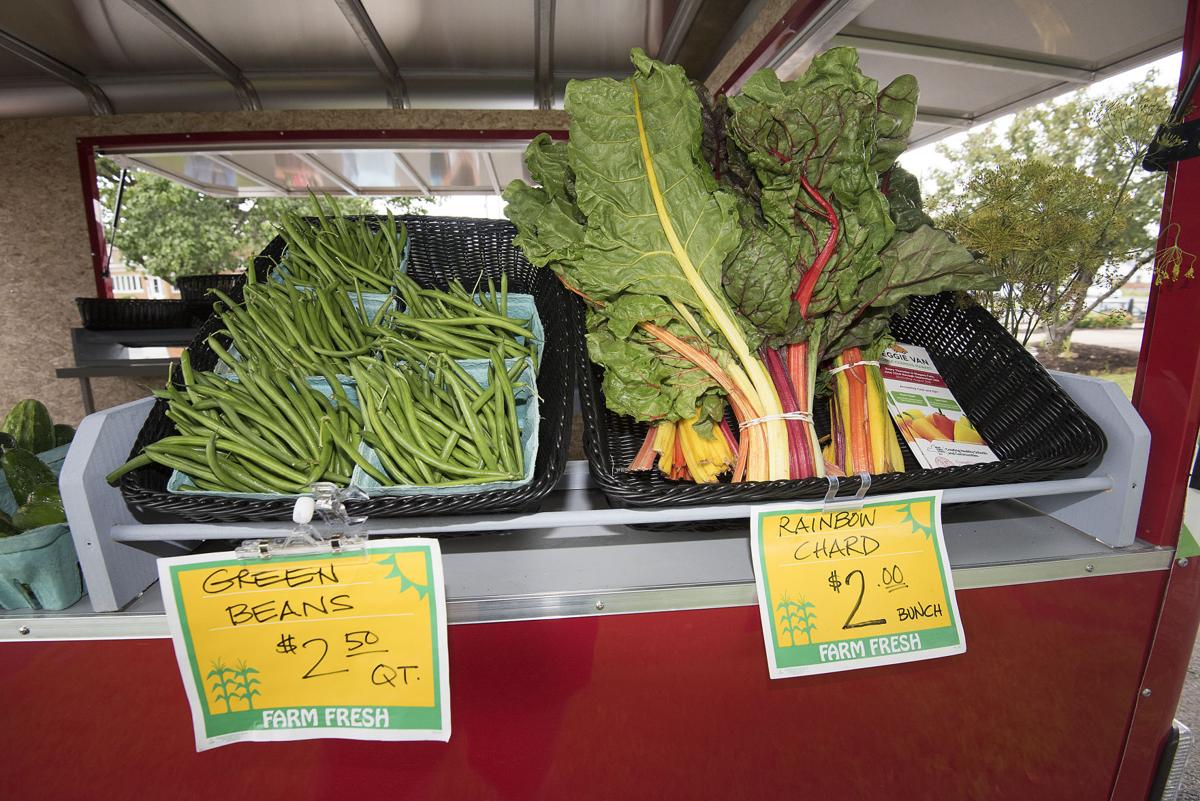 SLIDESHOW: New Veggie Van arrives at John Duke Center | Gallery ...