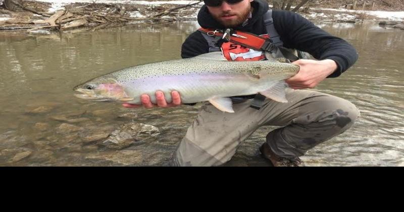 Tributary, river and lake fishing picking up | Sports | niagara-gazette.com