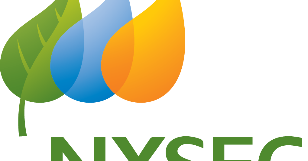 NYSEG rate increases approved by state | Local News | niagara-gazette.com