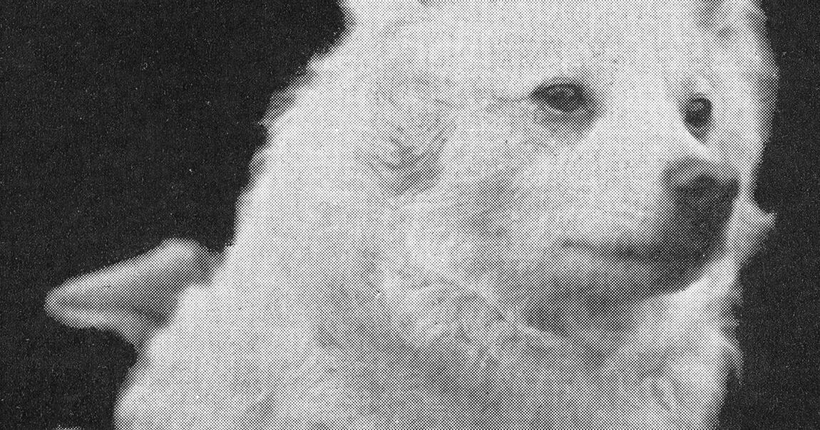 NIAGARA DISCOVERIES: Arabella Peterson, animal rights activist ...