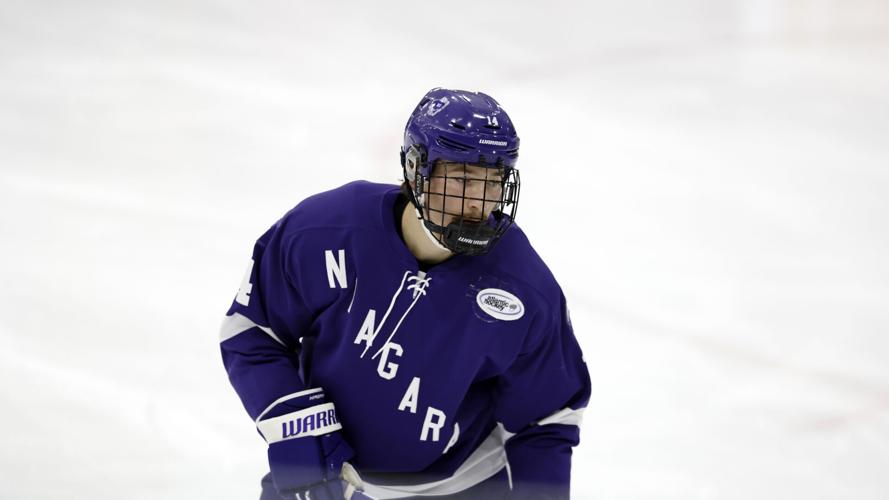 Ex-Niagara standouts Chris Harpur, Connor Mylymok carving a niche in ...