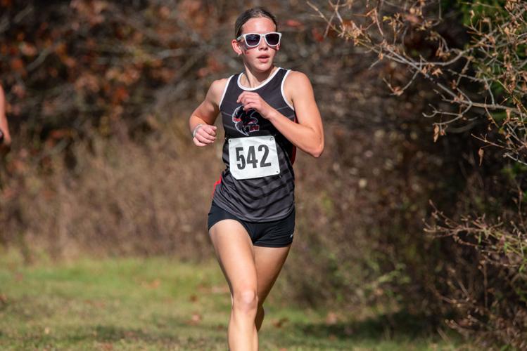 Lew-Port’s Leo Clark, Niagara Wheatfield’s Teaghan Brady win NFL cross ...