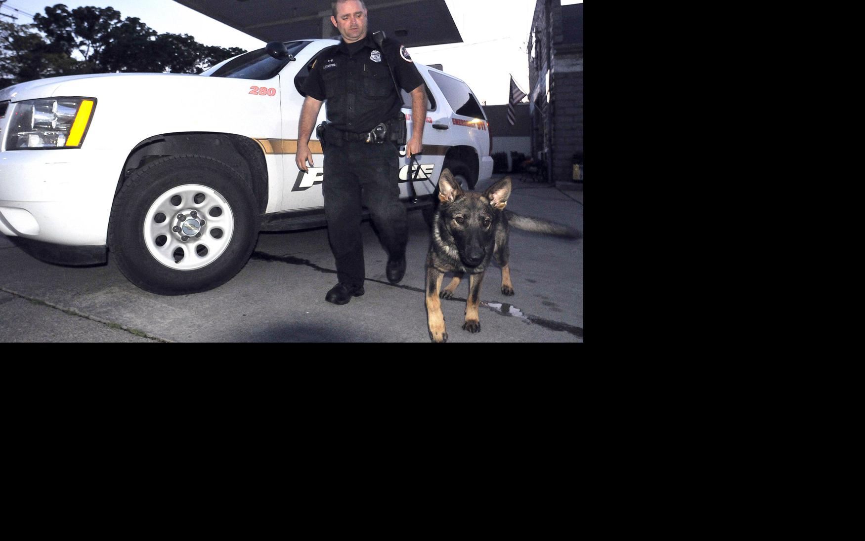 Lewiston police prep new K-9 and hope community will help name him ...