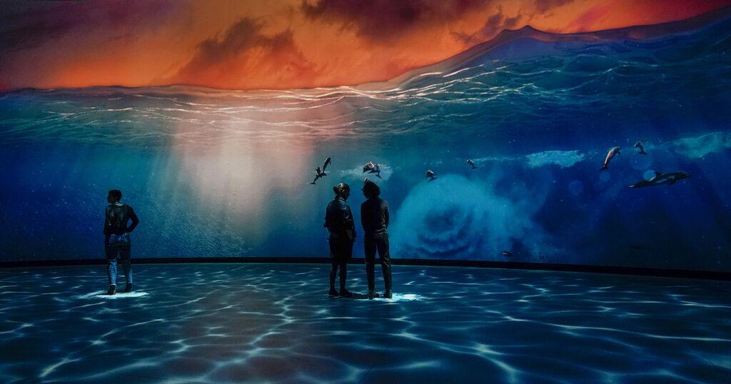 Ants march, whales swoop in Museum of Natural History update ...