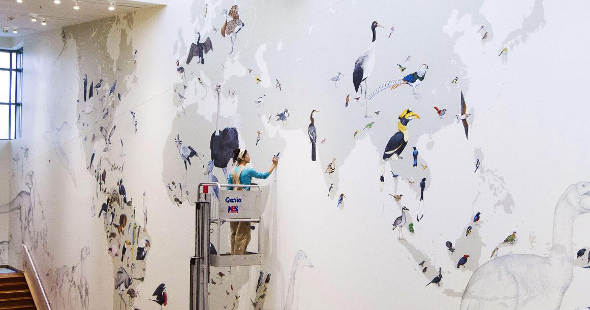 Cornell celebrates 100th anniversary of ornithology lab | Local News ...