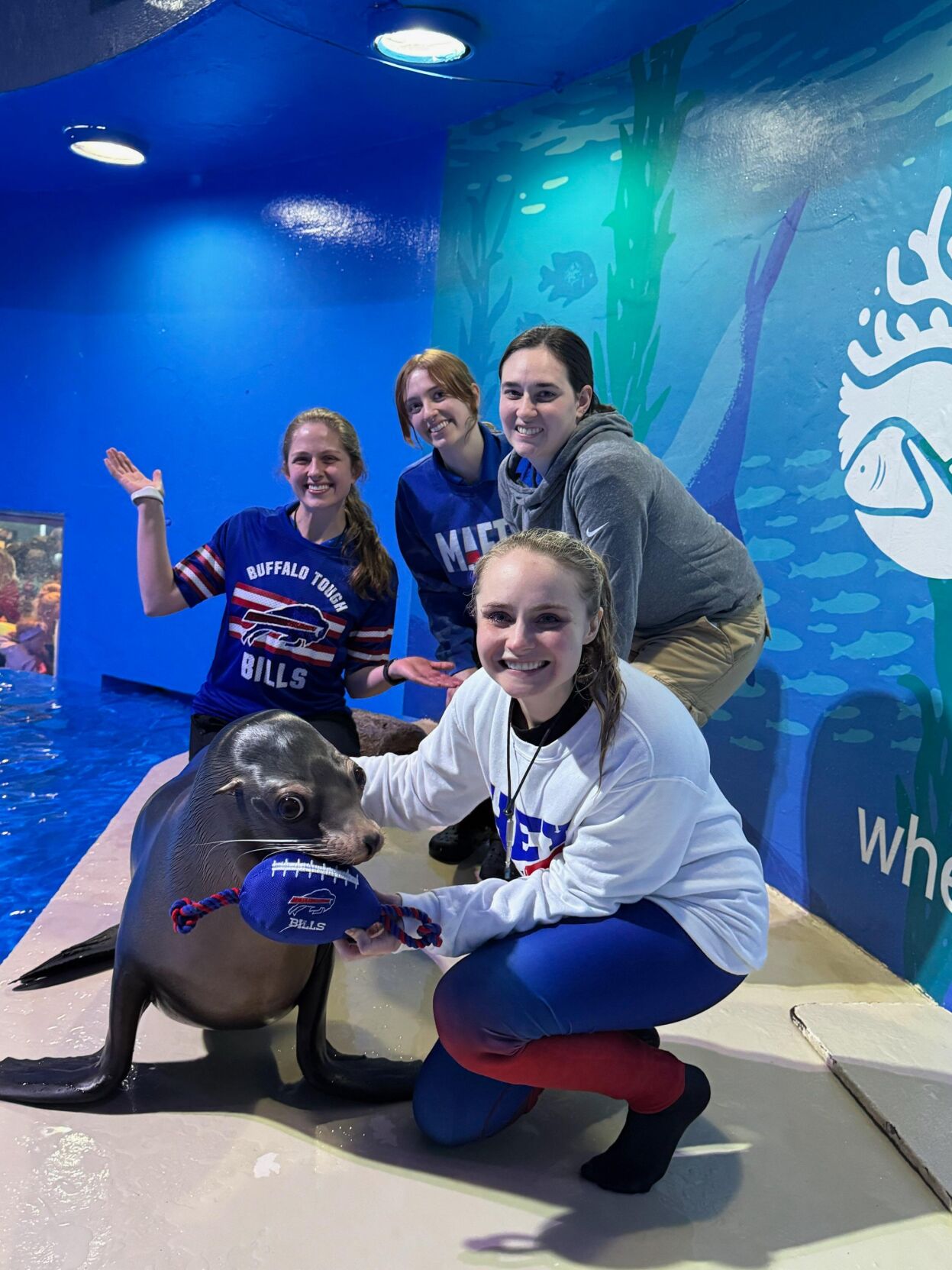 Sea Lion Shout! presentations return to the aquarium | Community ...