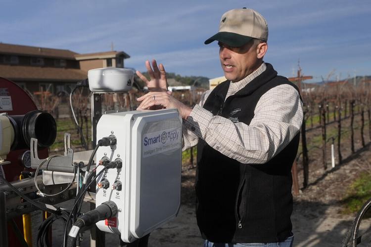 AI made its way to vineyards. Here's how the technology is helping make ...