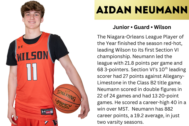 SLIDESHOW: Introducing the GNN Sports All-Area boys basketball team ...