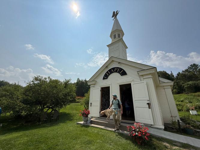 A massive mountain park in Vermont celebrates the bond between dogs and ...