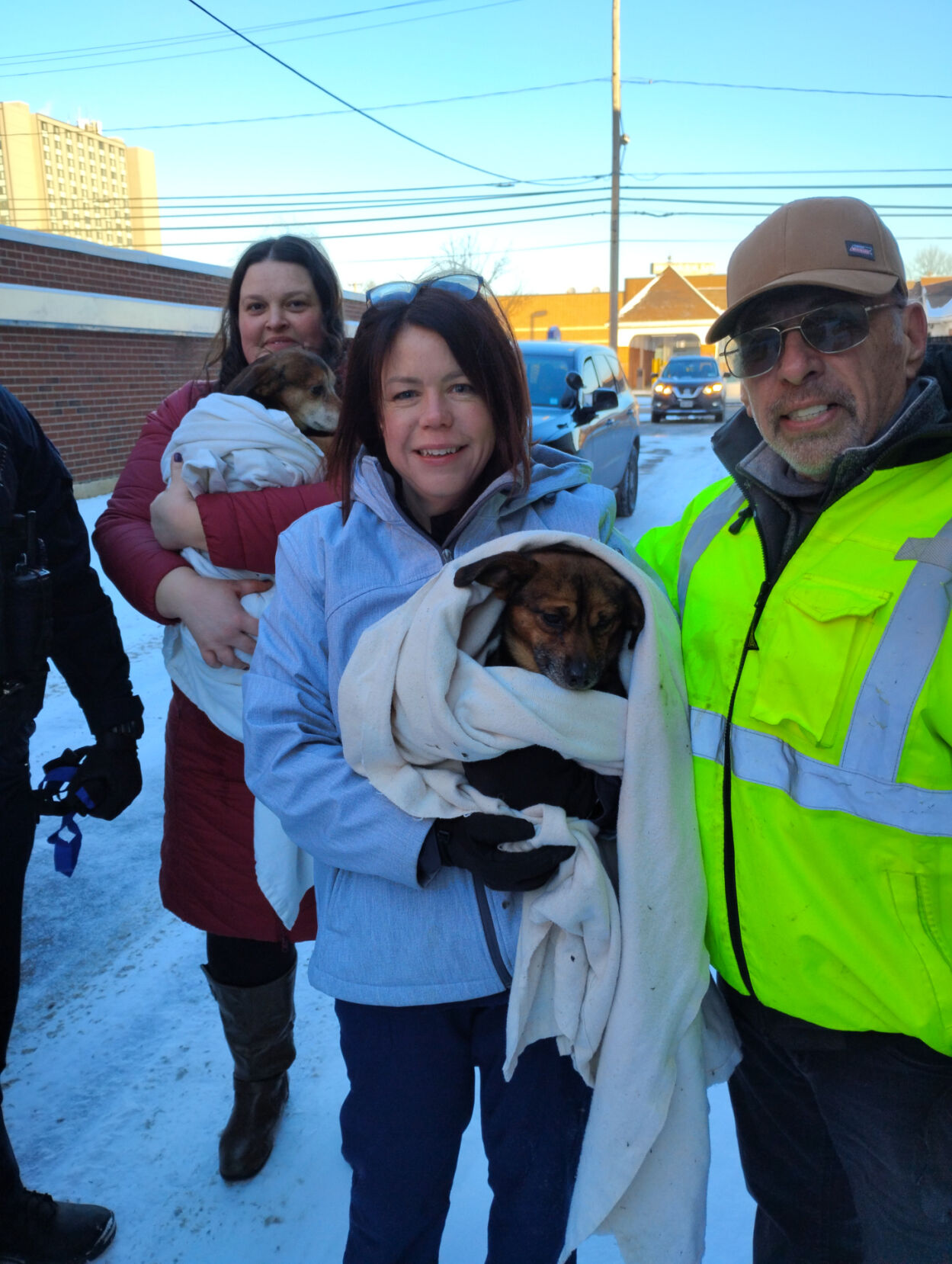 Water Board employee rescues dogs from morning cold | Local News ...