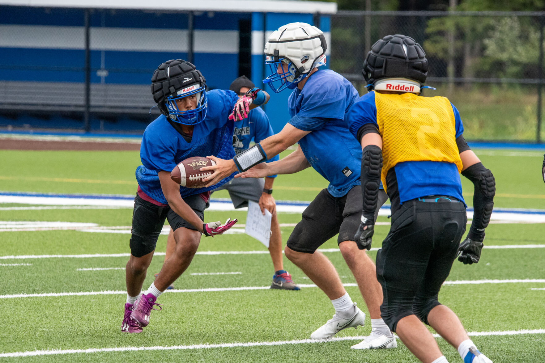 Newfane searching for postseason success after moving to Class D ...