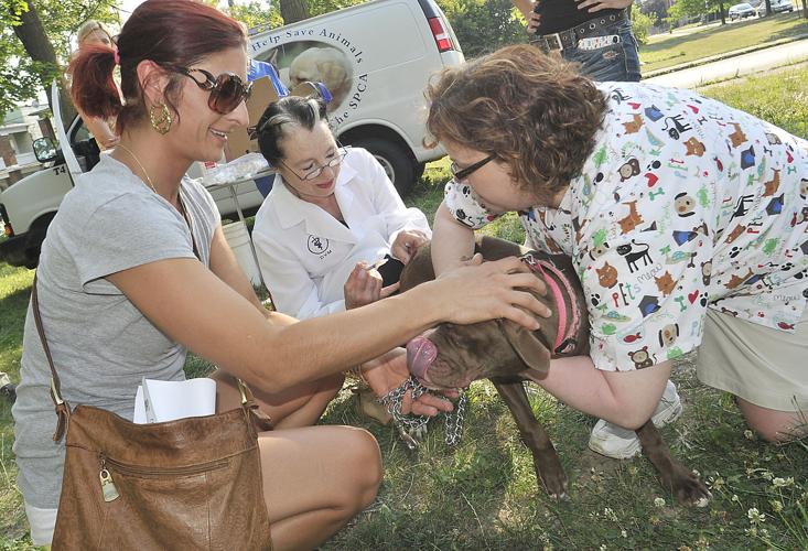 SPCA takes parvo clinic to the streets | Local News | niagara-gazette.com