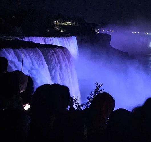 Turtle friends, Falls illumination honor late architect Dennis Sun ...