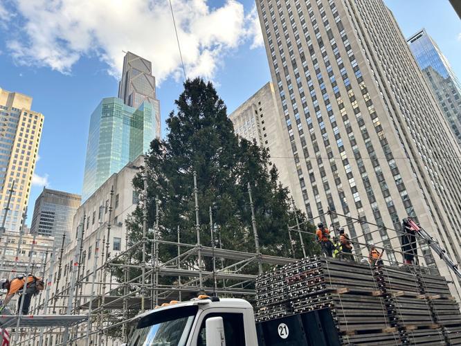 Rockefeller Center Christmas tree arrives in Manhattan, kicking off New ...