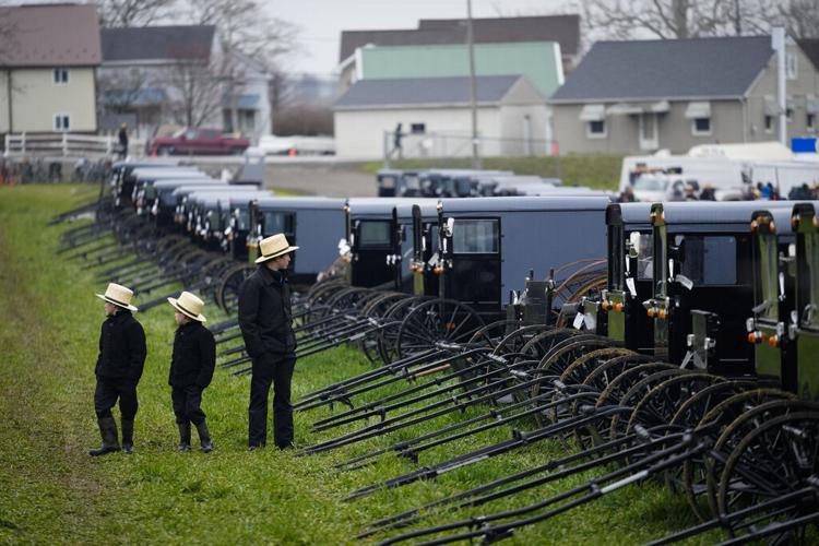 In yearly Pennsylvania tradition, Amish communities hold spring ...