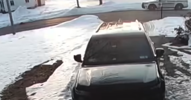 Sheriff defends deputy who ran over animal in video posted to Facebook ...