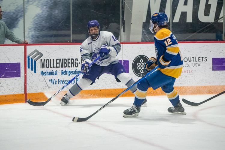 Sons of former Sabres goalie Dwayne Roloson thriving for Niagara ...