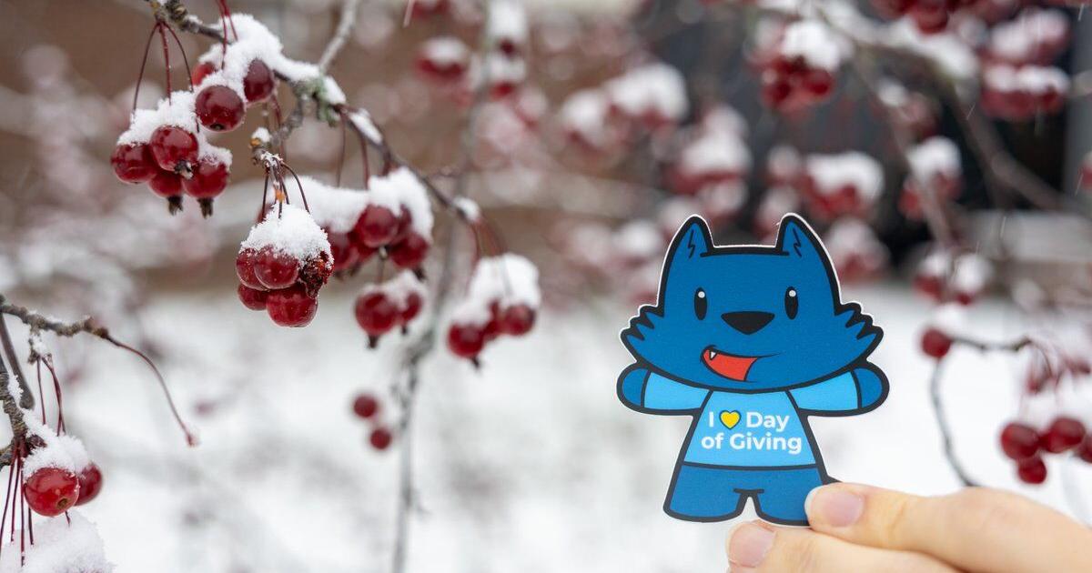 SUNY Niagara celebrates successful 5 Days of Giving campaign ...