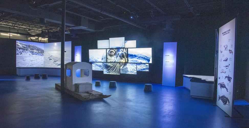 Arctic adventure reaches the Summit | Local News | niagara-gazette.com