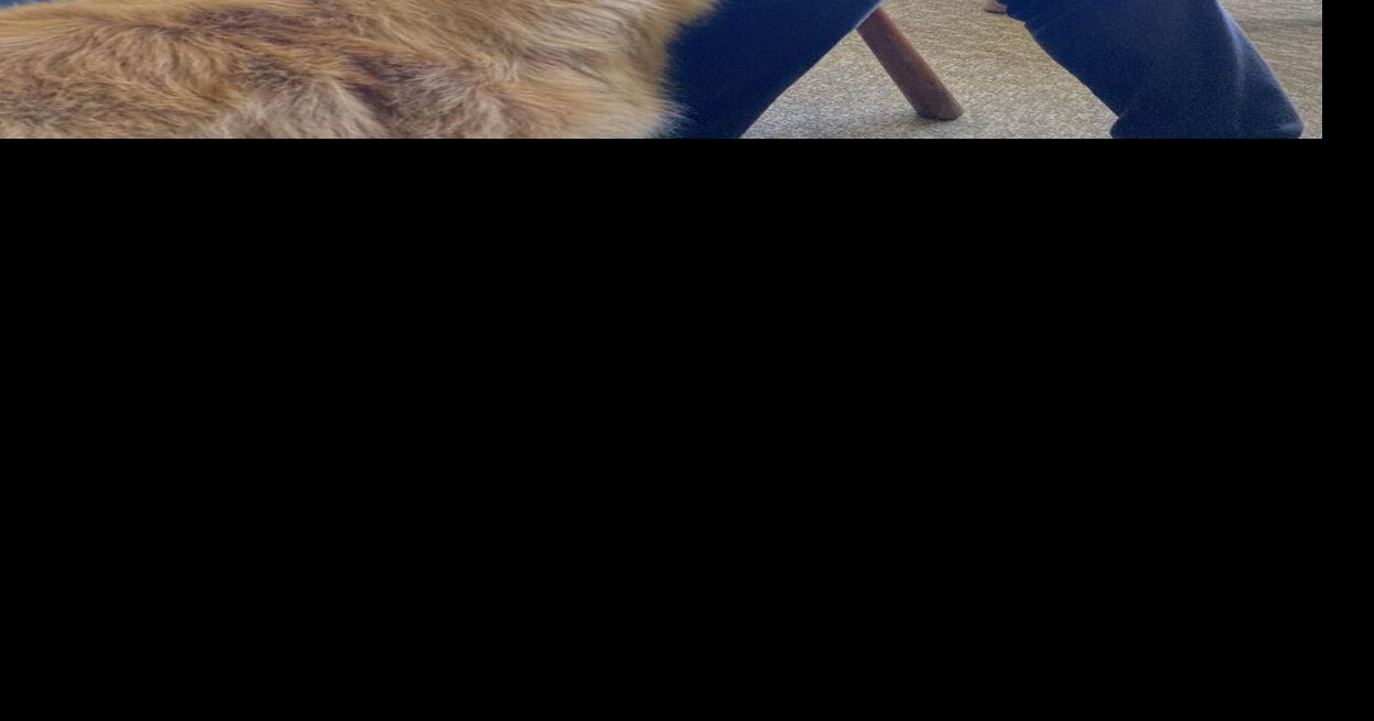 Living to fly: NFL great, longtime pilot Russ Francis dead in Lake ...