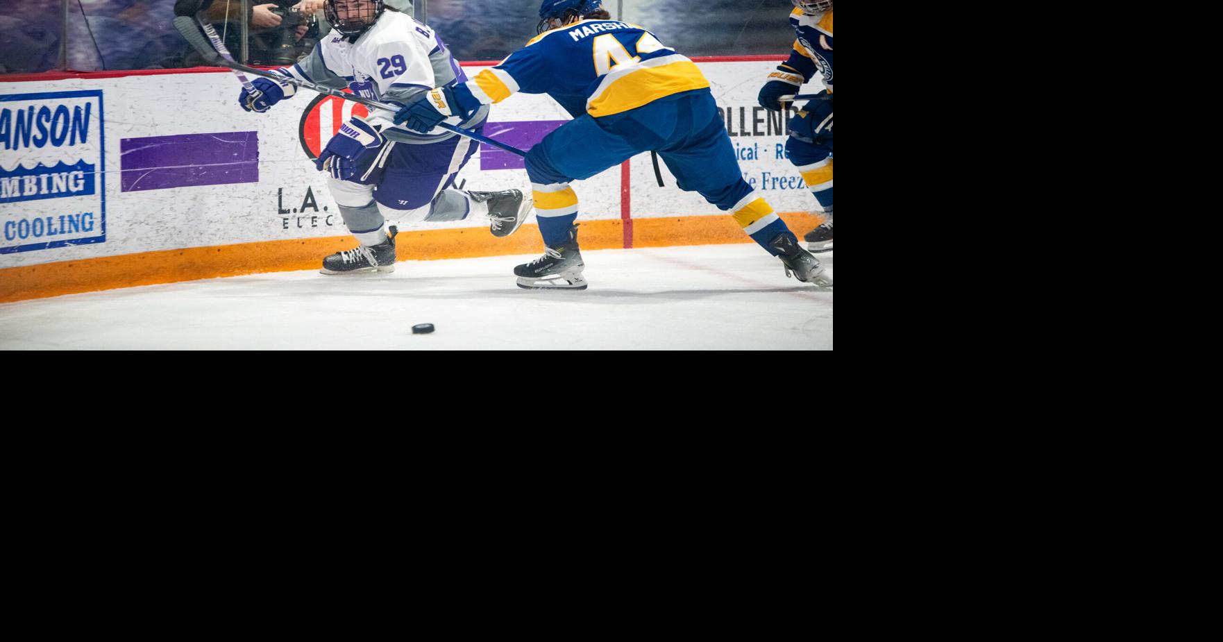 Sons of former Sabres goalie Dwayne Roloson thriving for Niagara ...