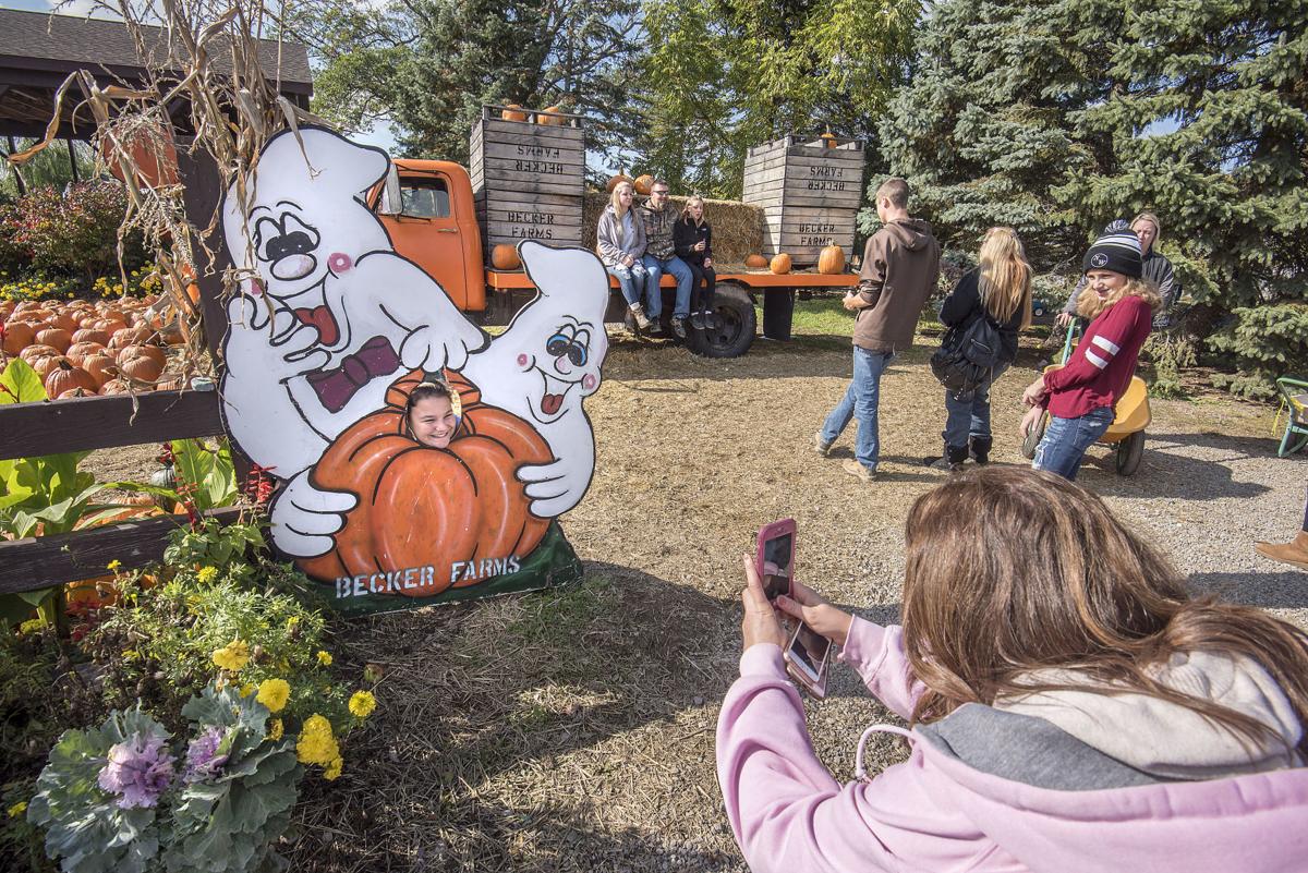 SLIDESHOW: Pickin' pumpkins at Becker Farms | Gallery | niagara-gazette.com