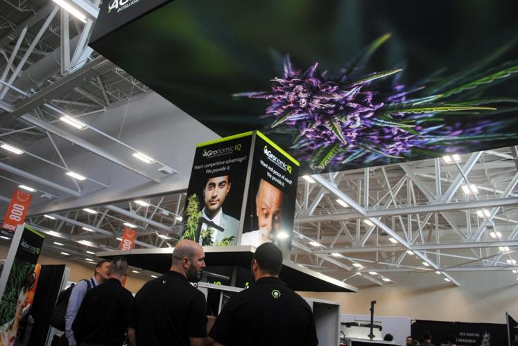 Mainstream cannabis a major draw at Grow Up conference
