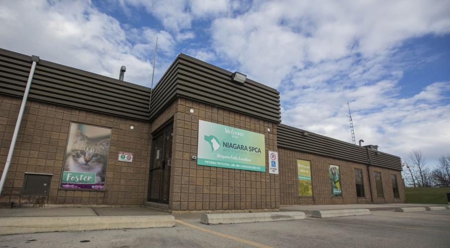 New Niagara SPCA building to include teaching facility