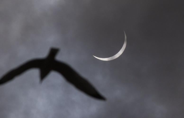 Not a million visitors, but crowds still flock to Niagara Falls to ...