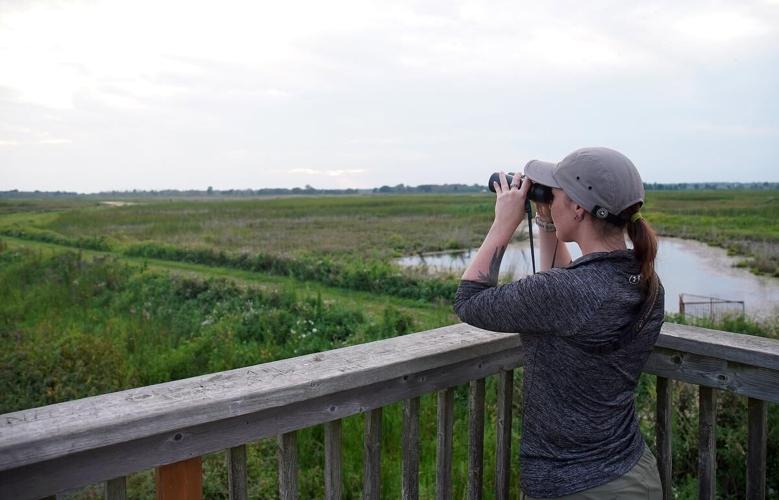 Massive ring of birds captured on radar sparks interest in Long Point ...