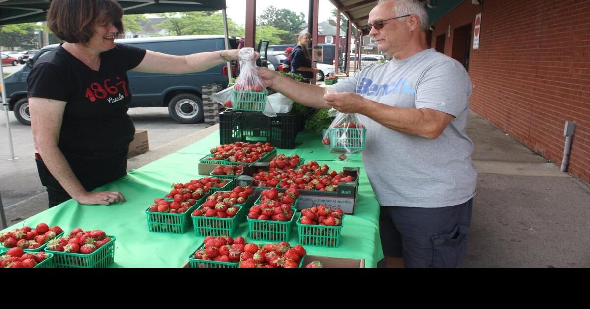 Welland Farmers Market ripe with vendors as summer begins