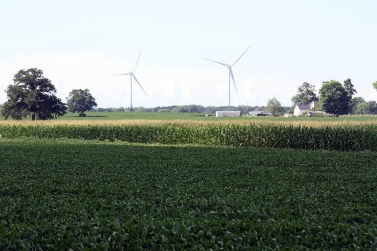 Niagara farmers ‘need a good two-, three-day soaker’ to ensure healthy ...