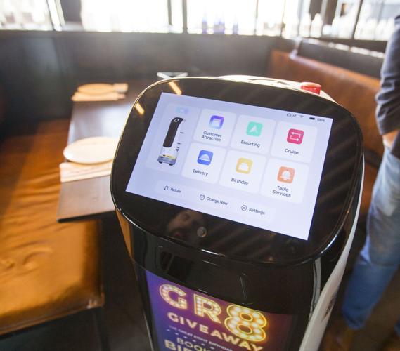 Should we embrace or fear robot servers?