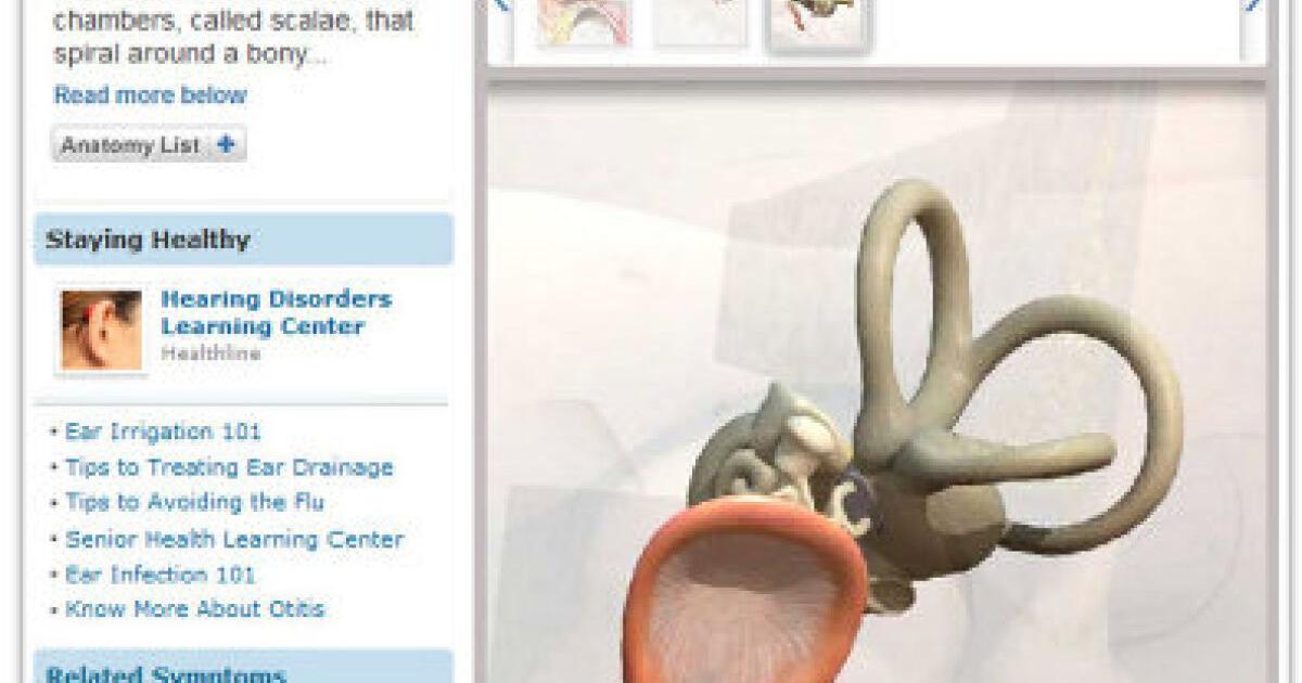 3D interactive map reveals inner workings of the human body