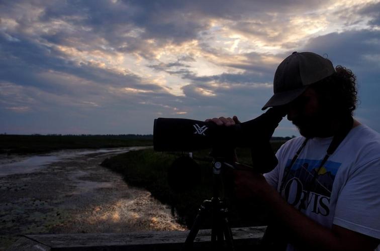 Massive ring of birds captured on radar sparks interest in Long Point ...