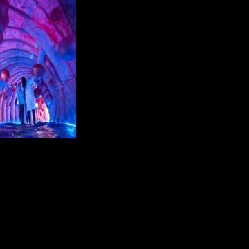 Giant colon offers gut-level experience