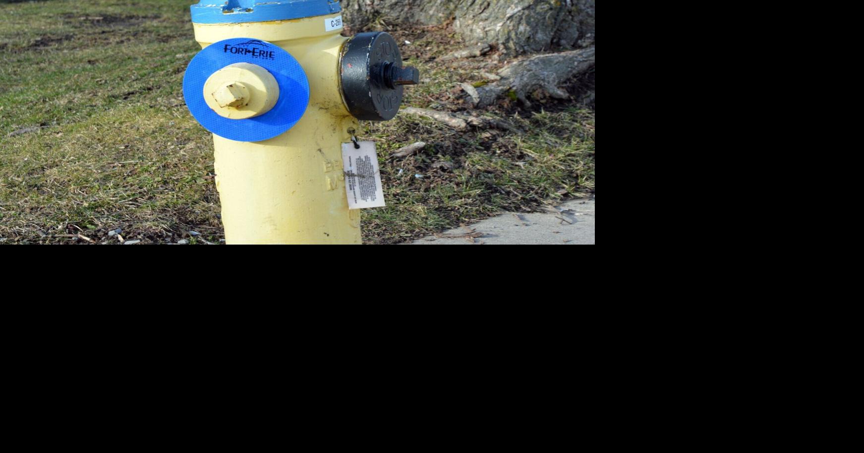 WHAT’S GOING ON HERE? Coloured rings on Fort Erie’s fire hydrants