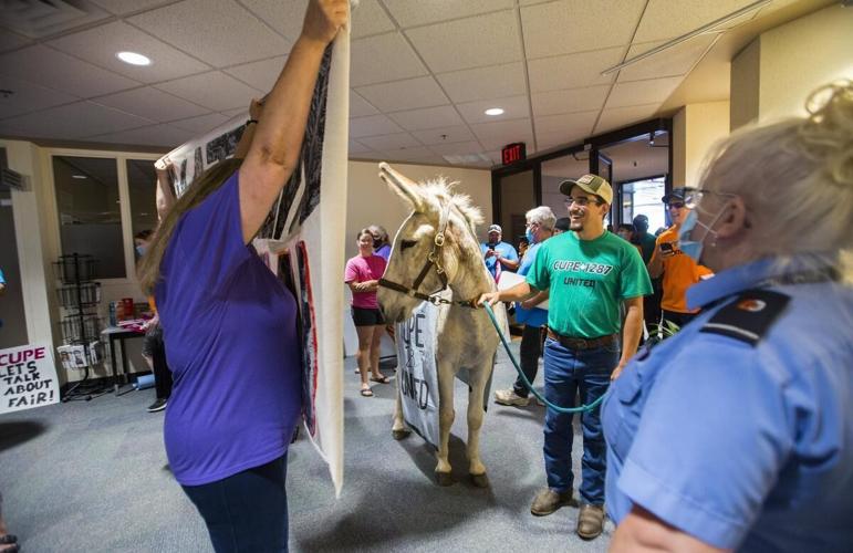 Union, along with a donkey, raises a stink at Niagara Region headquarters