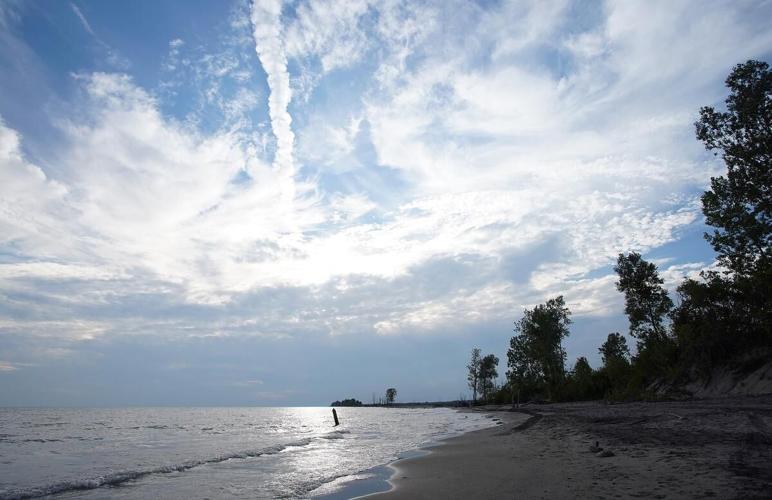 Massive ring of birds captured on radar sparks interest in Long Point ...