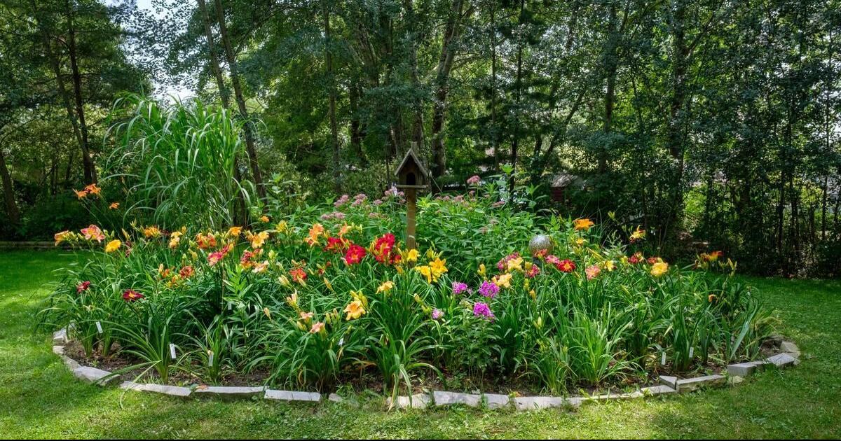 Growing Your Garden: The Aldridge Garden