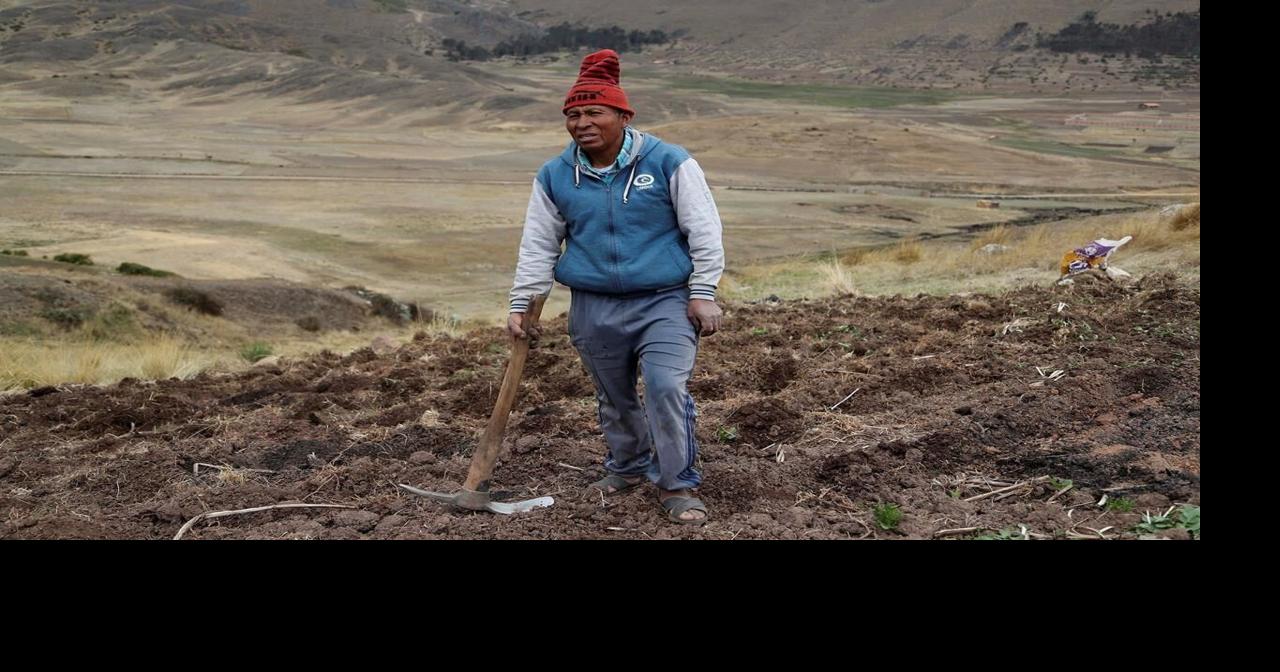 Pandemic pushes Peru’s vital peasant farmers to the brink