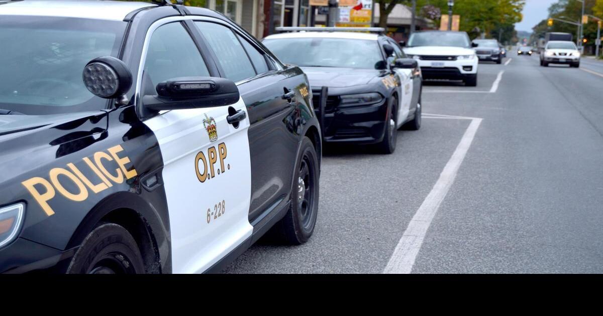 Wellington County OPP arrest police imposter, but similar incident ...