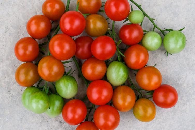 Growing Your Garden: Try your hand at some tempting tomatoes