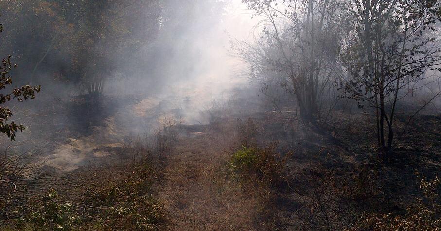 UPDATE: Firefighters stop using water from ponds inside Wainfleet Bog ...
