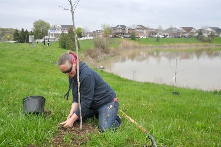 New trees aimed at helping enhance green space, building habitat