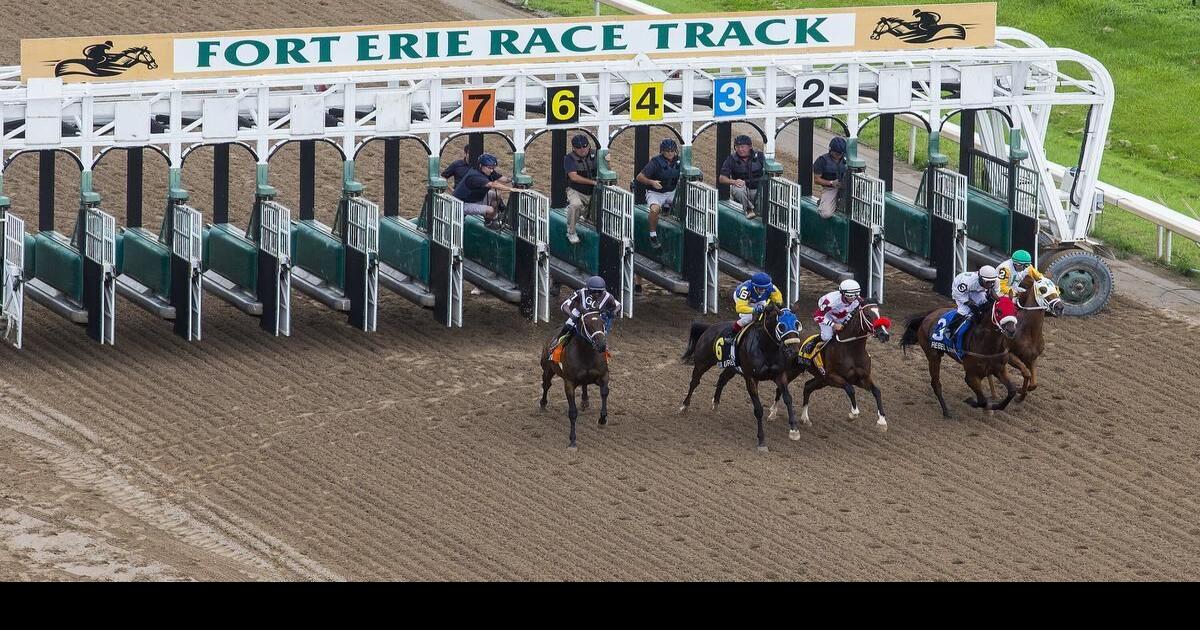 Nine races go to the post at Fort Erie Race Track on Civic Holiday