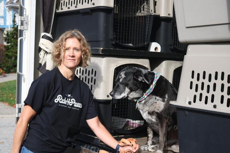 Manitoba dogs heading to Niagara to find new homes