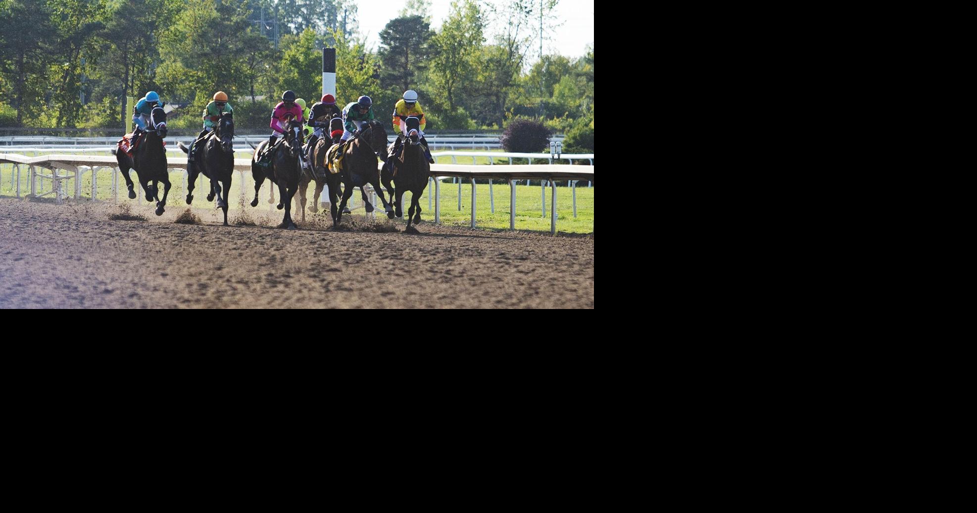 Prince of Wales Stakes taking place on Labour Day Monday