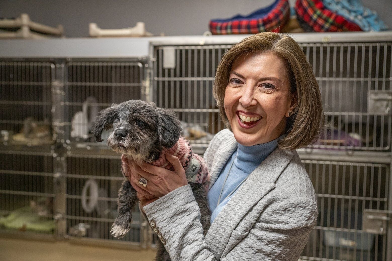 Adoption fees covered at Niagara SPCA sites this weekend