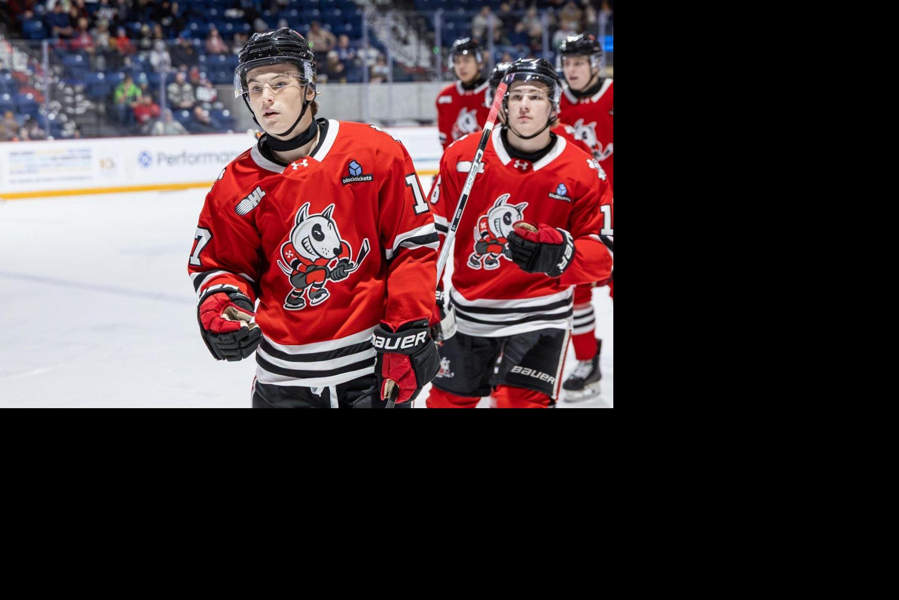 Niagara IceDogs News | The Review